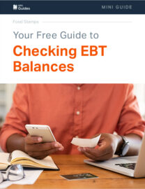 Your Free Guide to Checking EBT Balances - OPG Guides